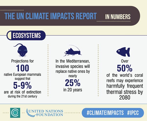 What Climate Change Means for Ecosystems | unfoundation.org