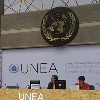 The UN Environment Assembly: What You Need to Know | unfoundation.org