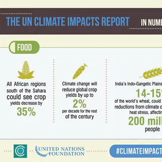What Climate Change Means for Food Production | unfoundation.org