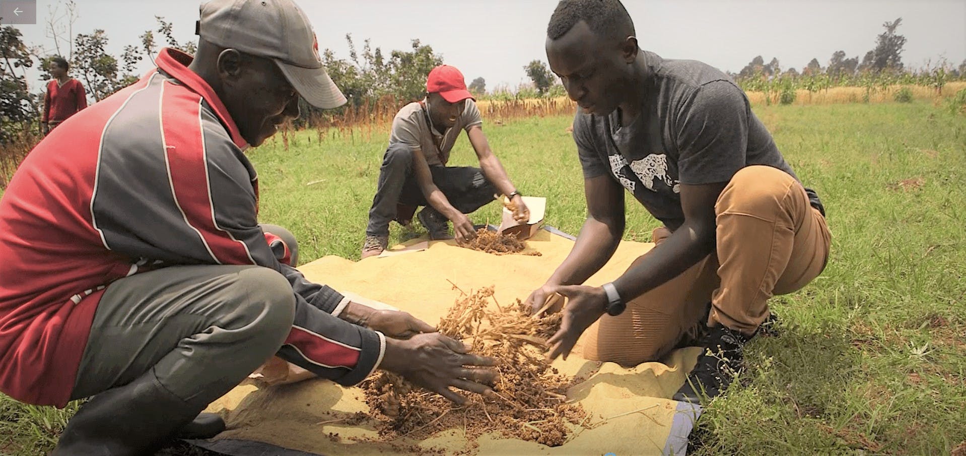 How A Survivor of the Rwandan Genocide Is Nourishing The Next ...