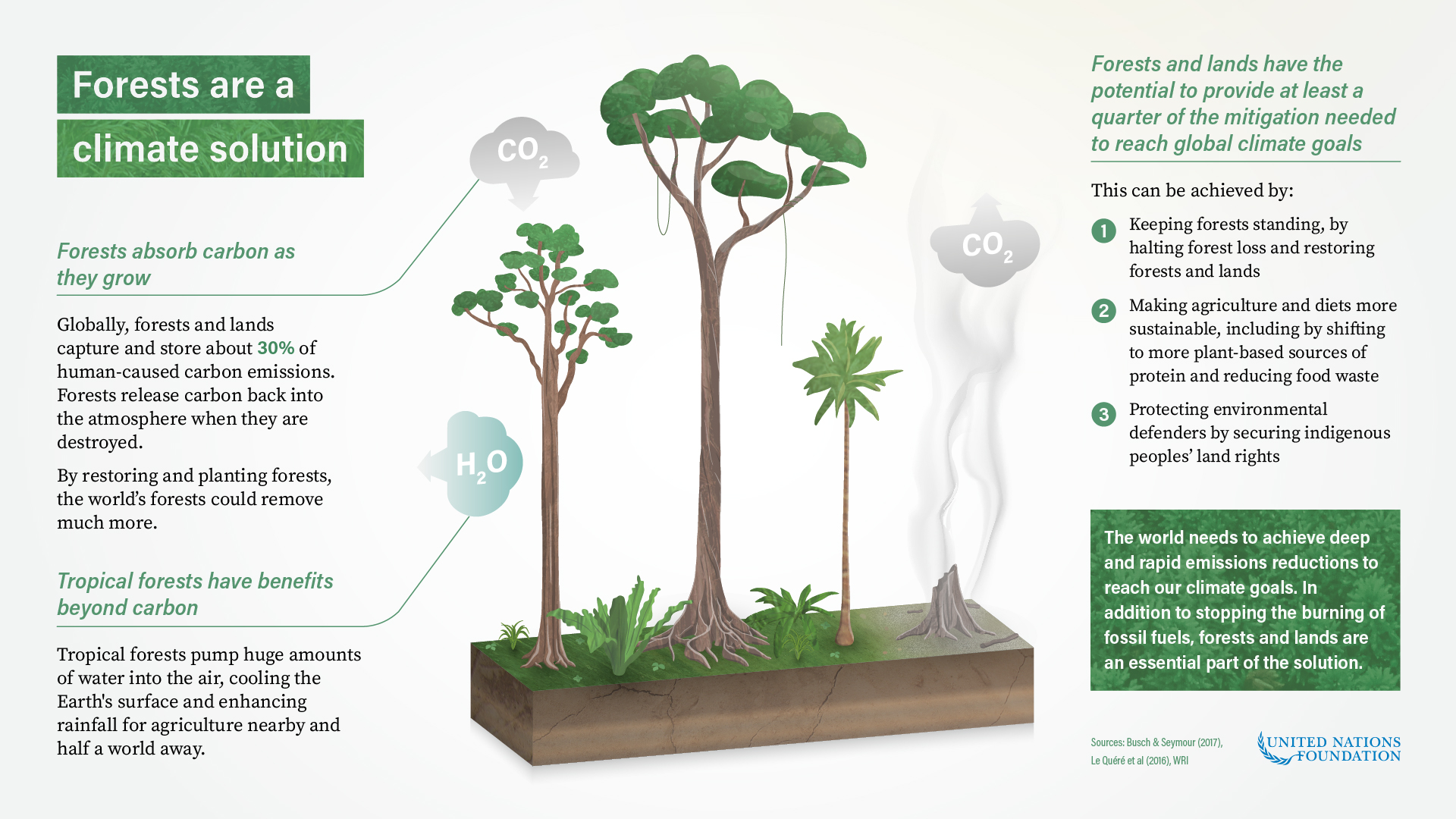 Key Takeaways from the IPCC Special Report on Climate Change and Land ...
