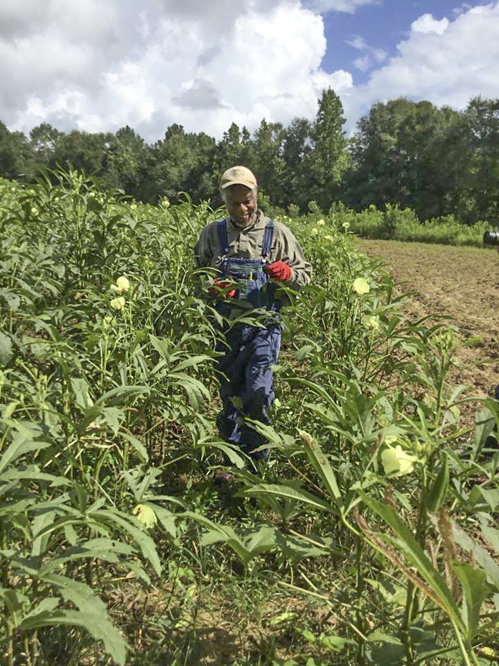 From The Ground Up: A Mississippi Farmer Shares His Perspective on Food ...