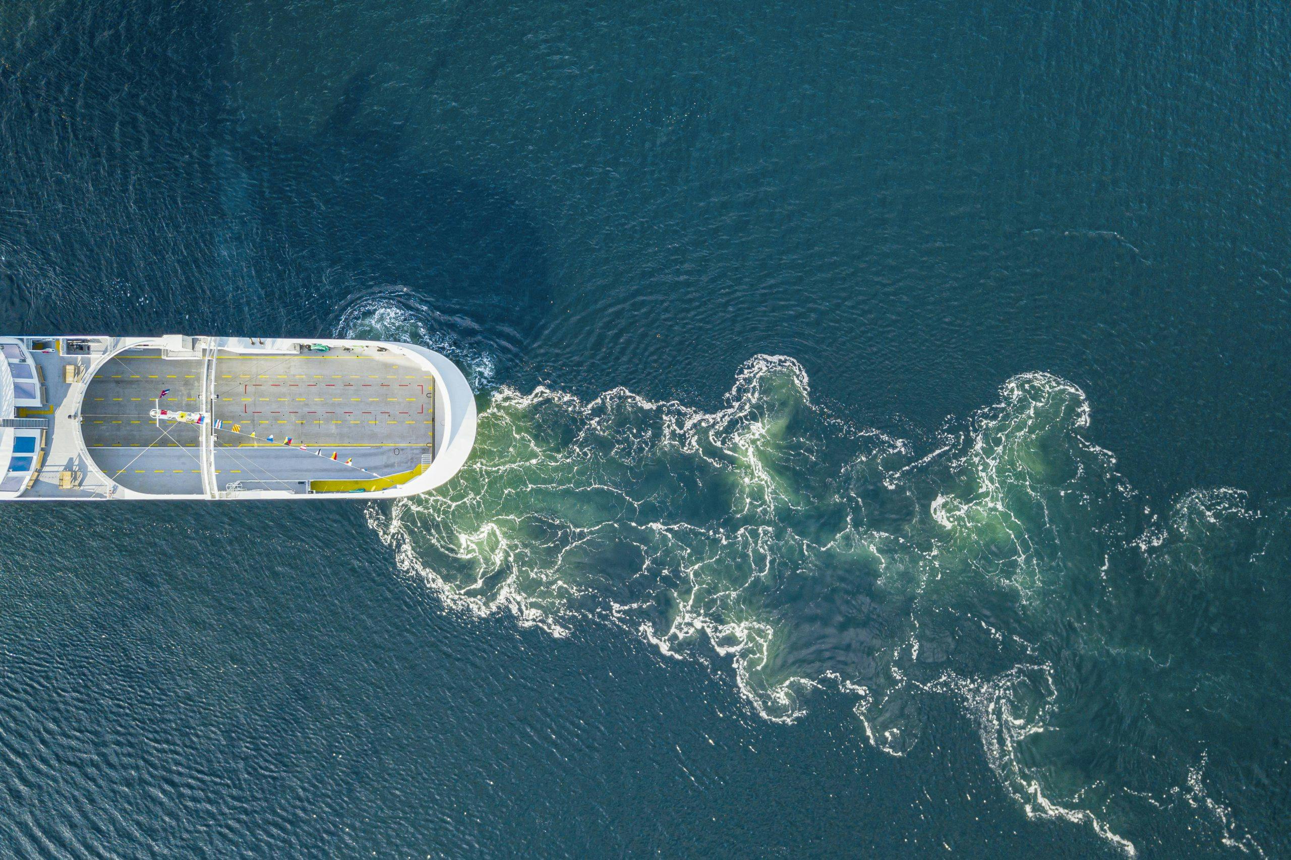 Decarbonizing Shipping Has a Nature-Positive Impact on Marine ...