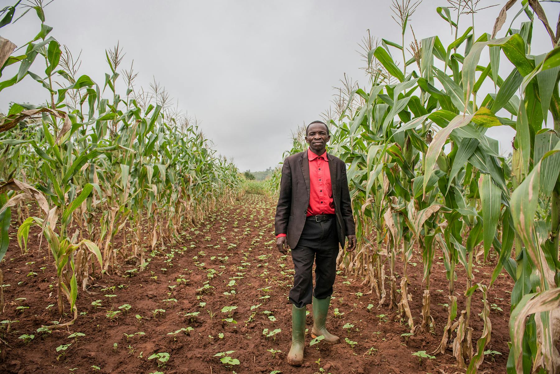 Empower Climate-Resilient Smallholder Agriculture by Investing in ...