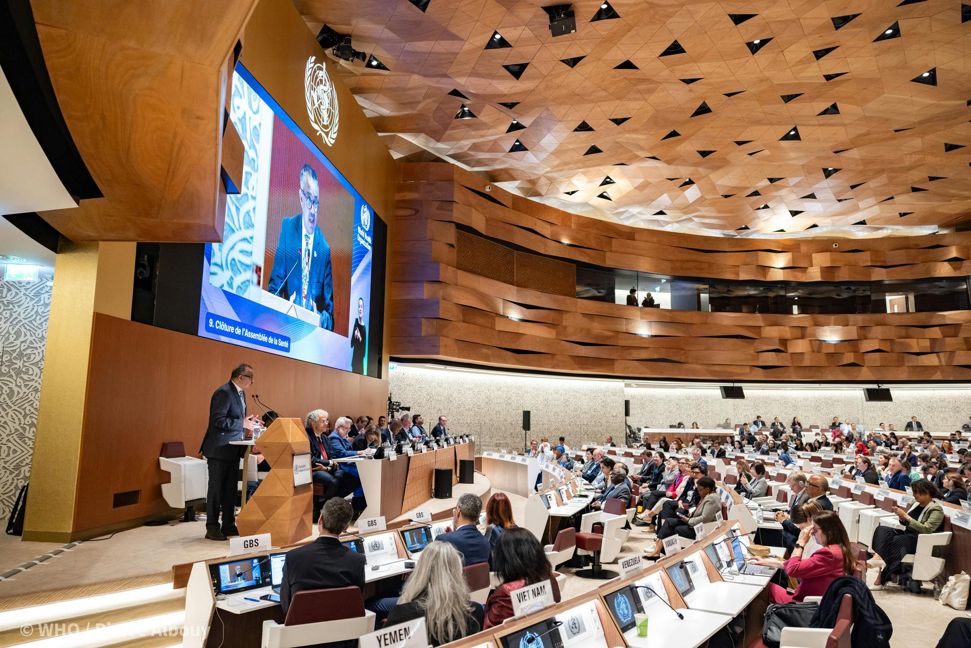 Hard-fought Wins for Global Health at WHA77 | unfoundation.org