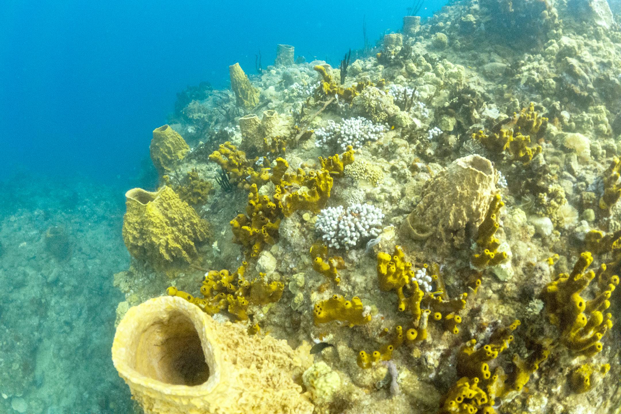 Science to Action on SDG 14.3 | unfoundation.org